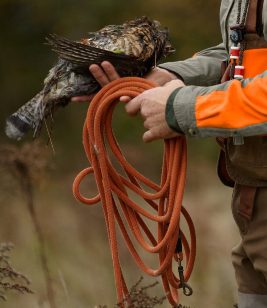Check Dog Cord | Accessories at L.L.Bean