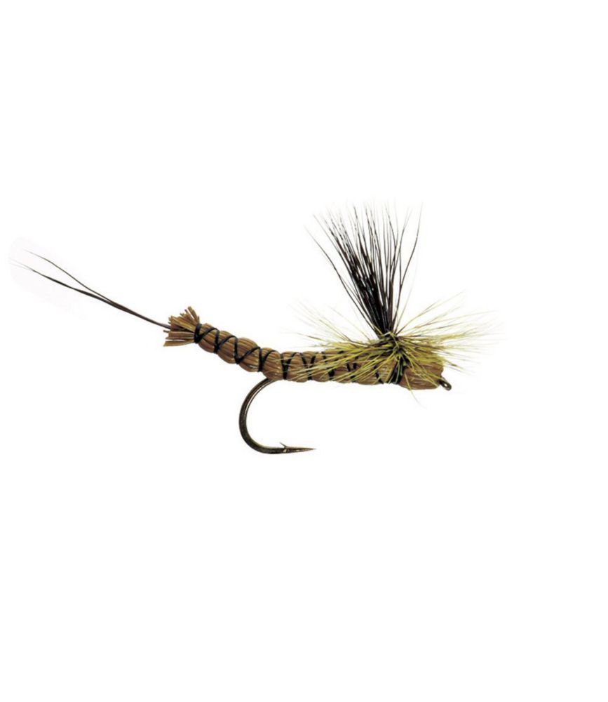 Drake Paradrake Lawson's 2 Pack | Freshwater Flies at L.L.Bean