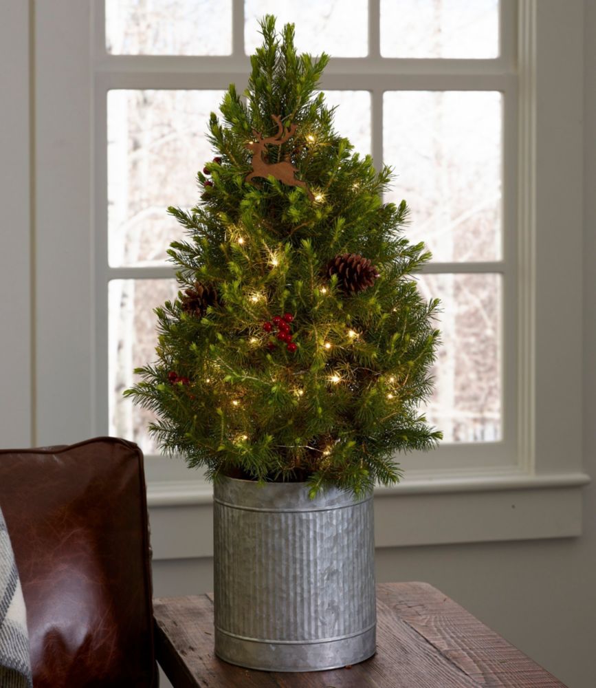 Christmas Reindeer Live Tree With Lights | at L.L.Bean