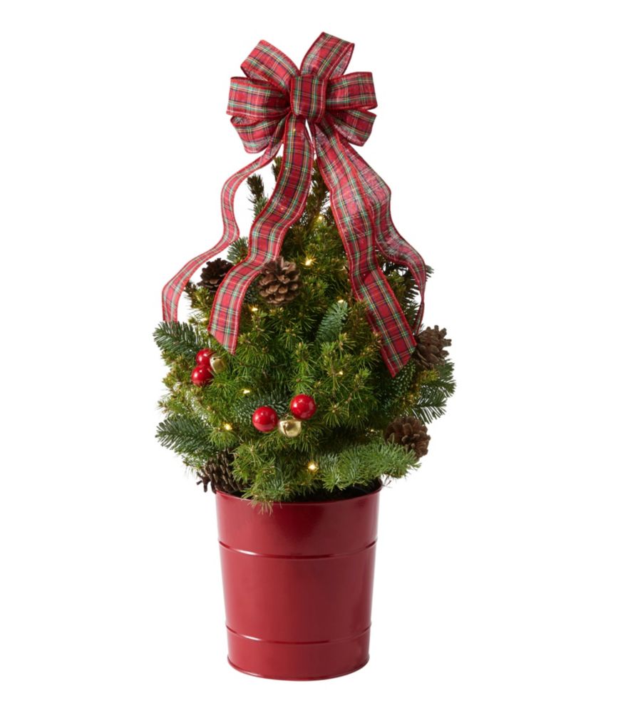 Tartan Tabletop Live Tree with Lights | Fresh Wreaths & Greenery at L.L ...