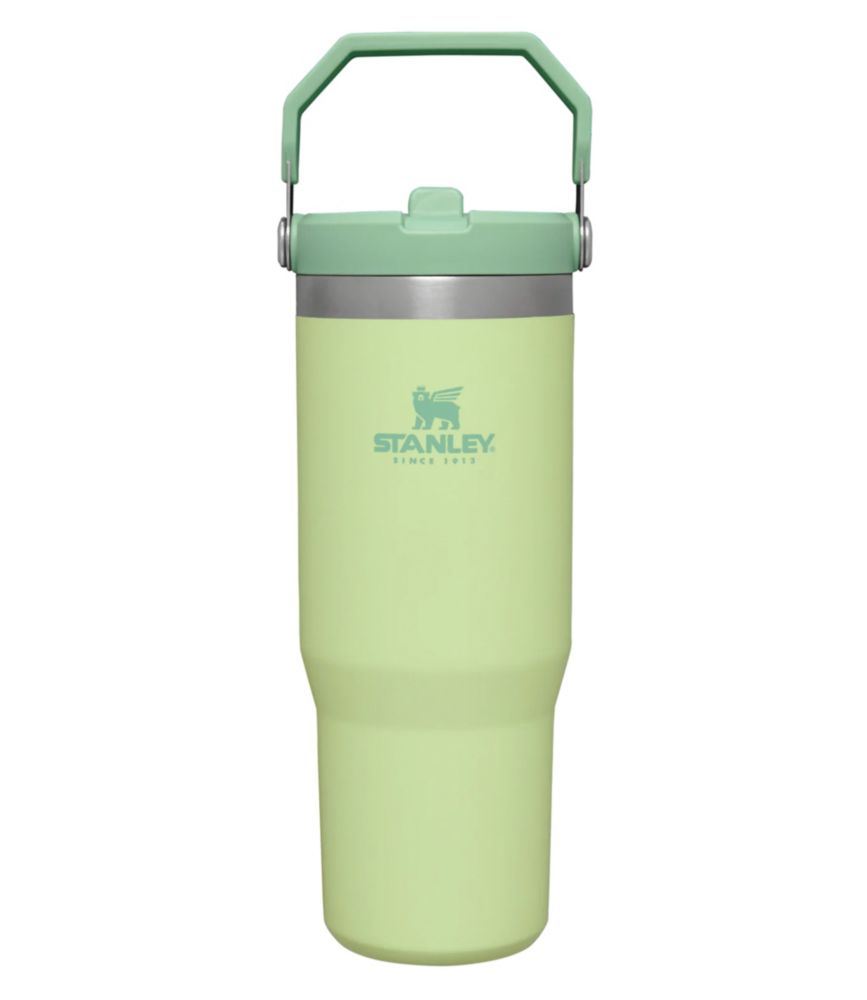 Stanley IceFlow Flip Straw Tumbler, 30 oz. | Drinkware & Thermoses at L ...