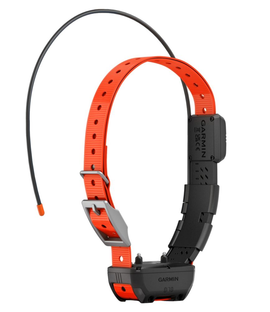 Garmin Alpha TT25 Dog Collar | Electronics at L.L.Bean